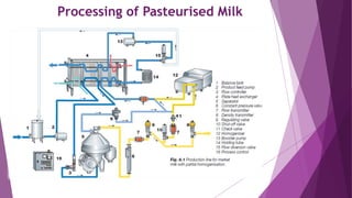 Production of pasteurised milk, ice cream, dried milk powder, and ...