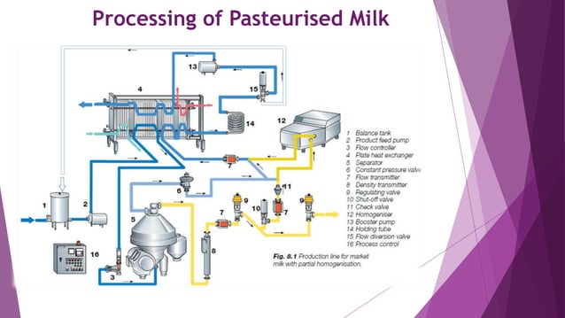 Production of pasteurised milk, ice cream, dried milk powder, and ...