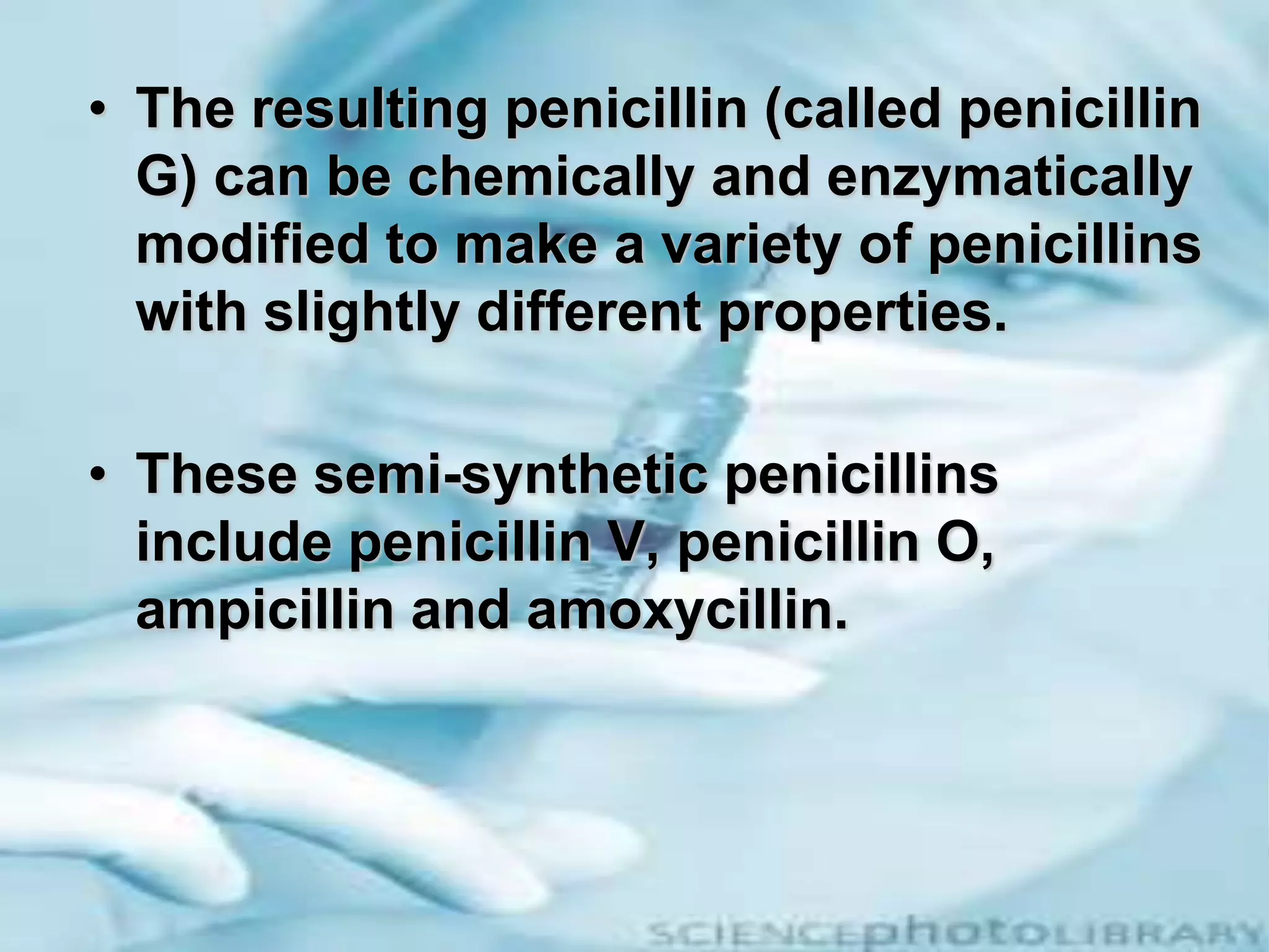 production of penicillin.ppt