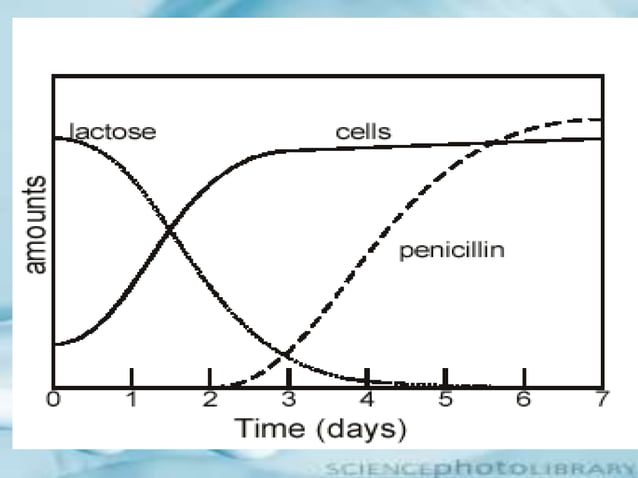 Production_of_penicillin.ppt