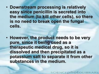 Production_of_penicillin.ppt