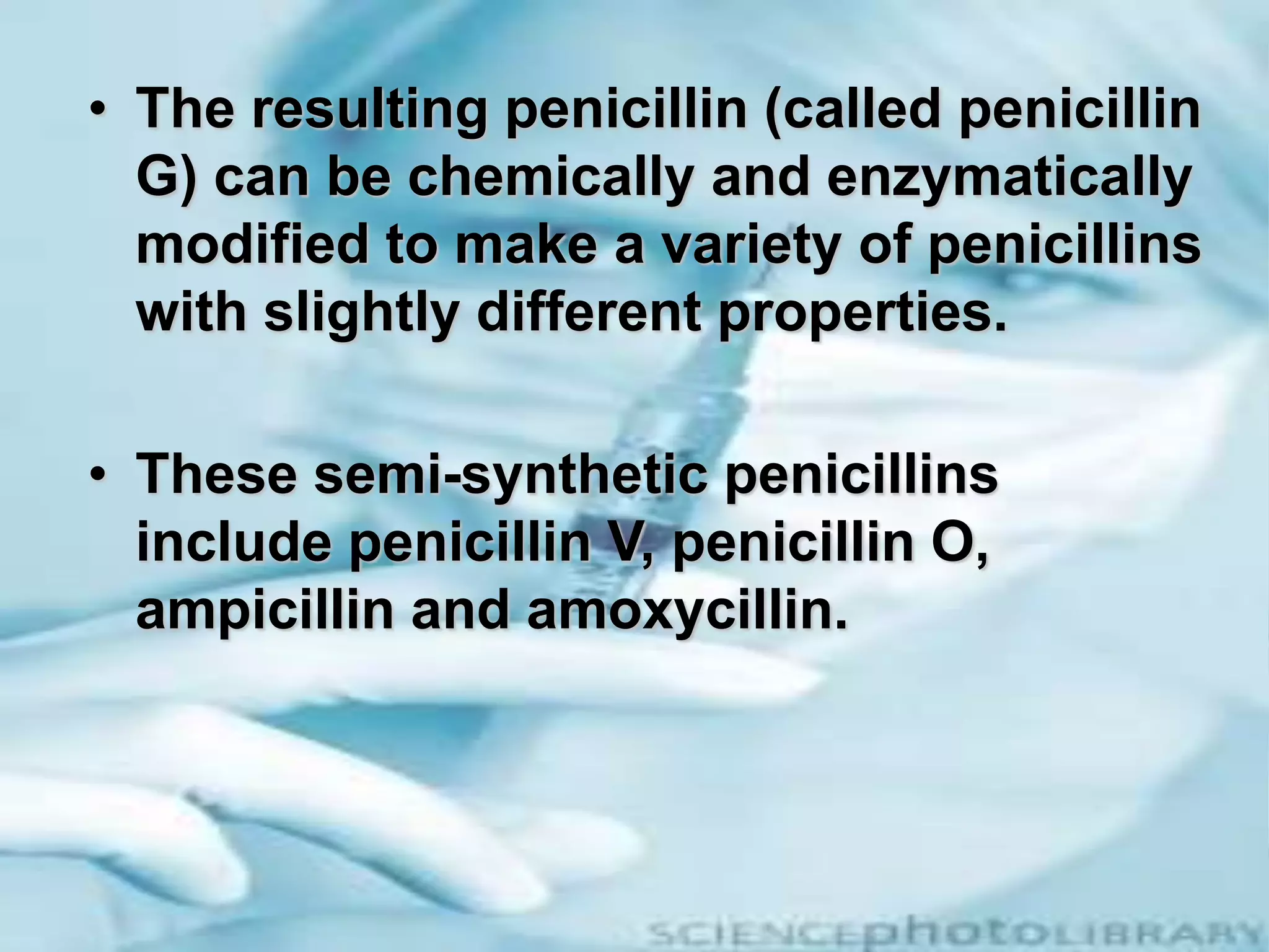 Production_of_penicillin. pptx.pptx