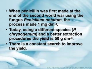Production_of_penicillin. pptx.pptx