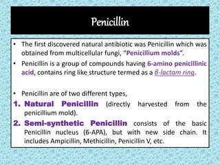 Production of penicillin and citric acid | PPTX