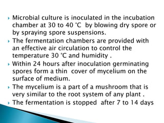 Production Of Pharamaceuticals (1).pptx