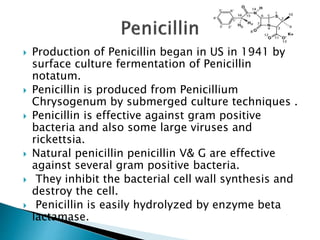 Production Of Pharamaceuticals (1).pptx