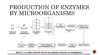 Production of protease and amylase | PPTX