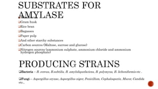 Production of protease and amylase | PPTX