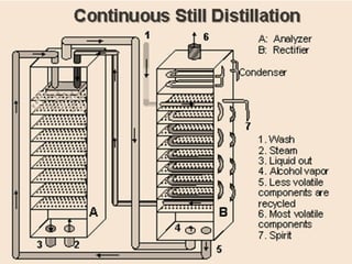 Production Of Rum By Pot Method And Patent Still Method | PPT