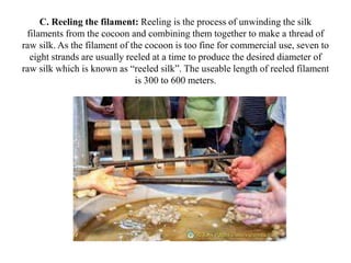 Production of silk | PPTX