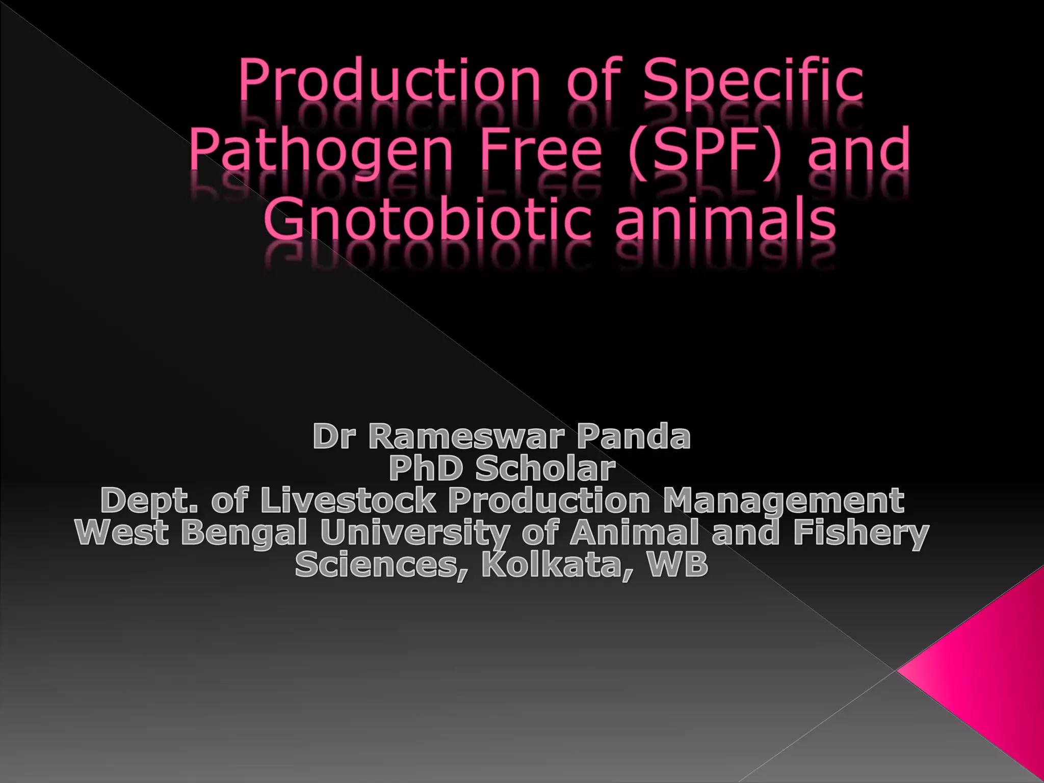 Production of Specific Pathogen Free and Gnotobiotic animals | PPTX