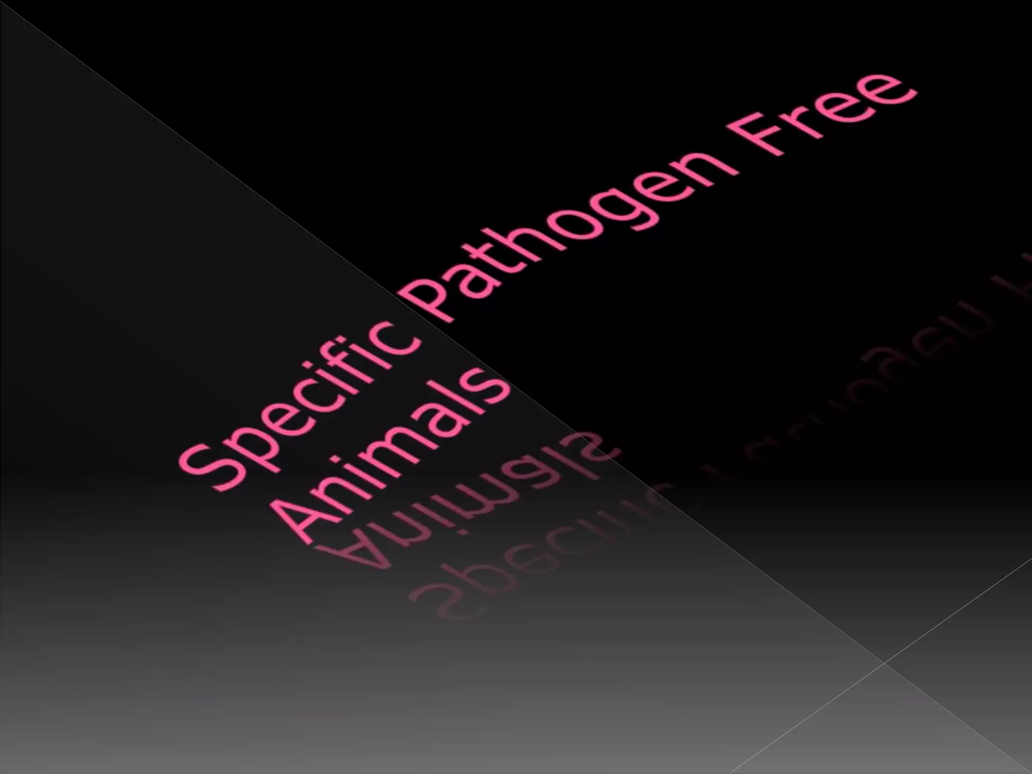 Production of Specific Pathogen Free and Gnotobiotic animals | PPTX