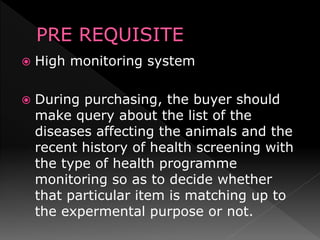 Production of Specific Pathogen Free and Gnotobiotic animals | PPTX
