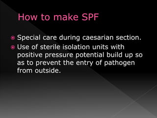 Production of Specific Pathogen Free and Gnotobiotic animals | PPTX