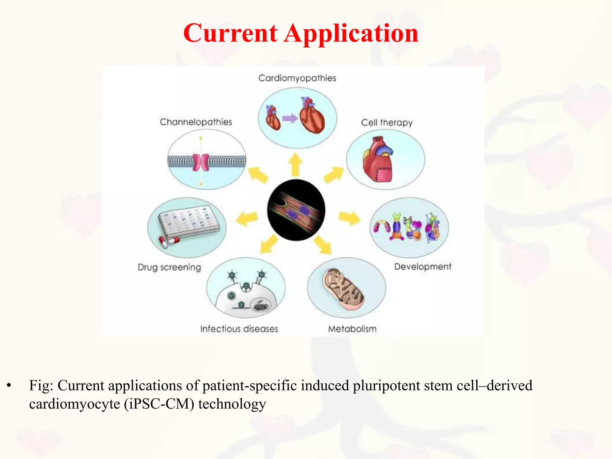 Production of stem cell derived cardiomyocytes | PPTX