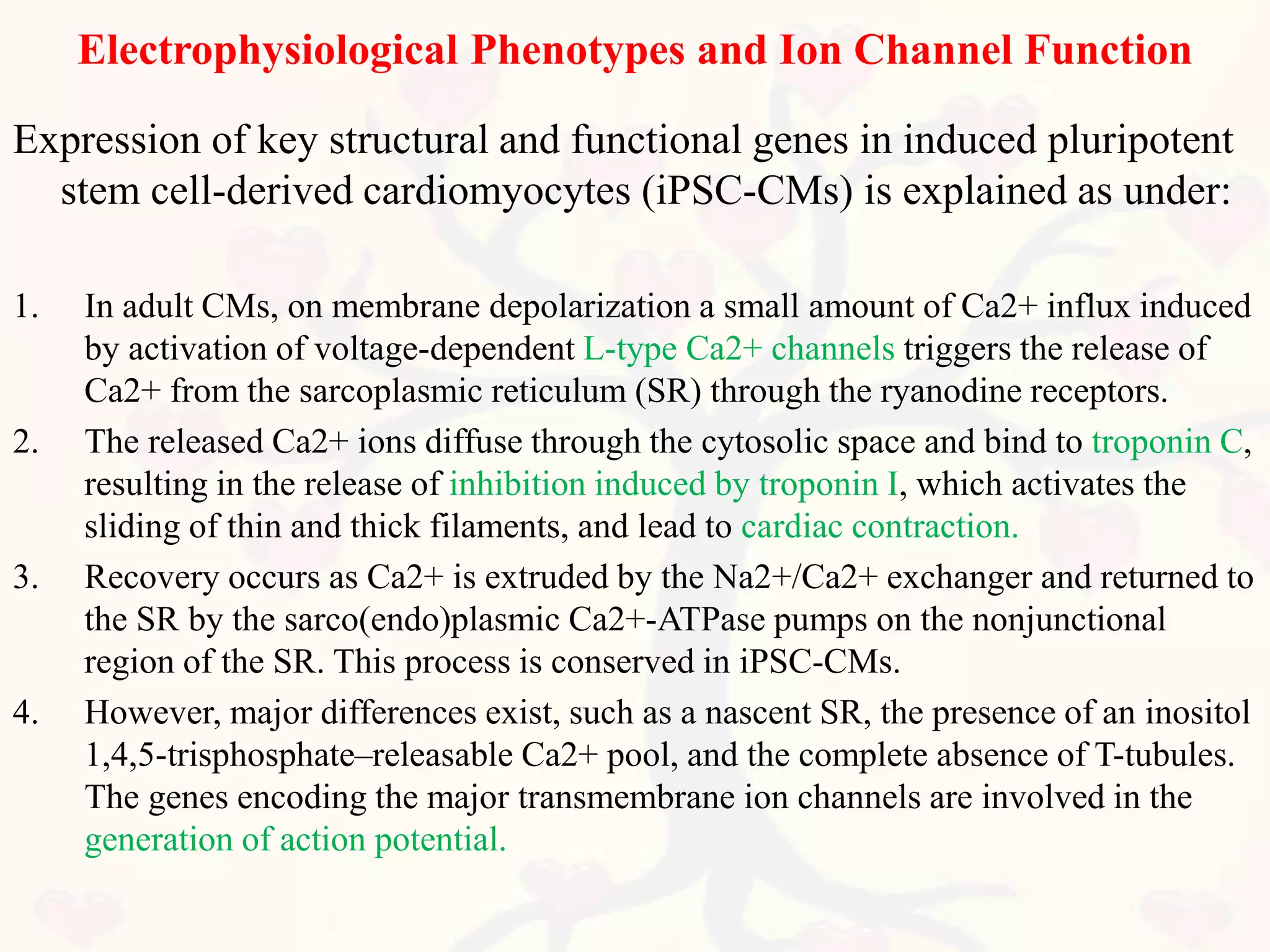 Production of stem cell derived cardiomyocytes | PPTX