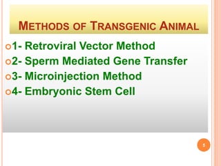 Production of transgenic farm animals | PPTX