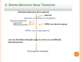 Production of transgenic farm animals | PPTX