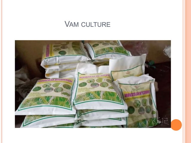 Production of VAM | PPTX | Agriculture | Industries