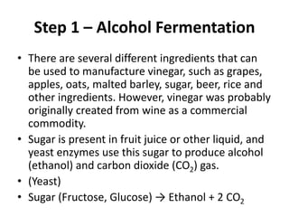 Production of Vinegar.pptxVVXZXCVCXCVBJGF | PPTX