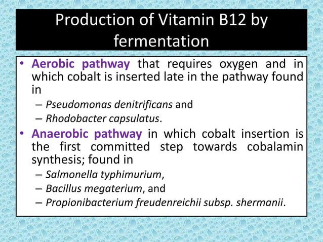 Production of vitamin B12 using fermentation | PPTX | Chemistry | Science