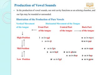 Production of Vowel Sounds in Oral Tract | PDF