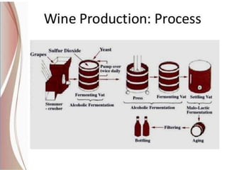 Production of wine and its scenario in india | PPTX