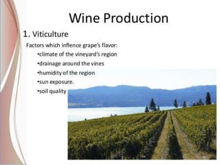 Production of wine and its scenario in india | PPT