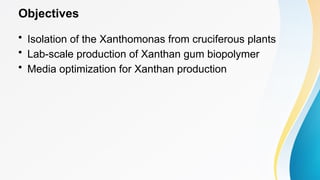 Production of xanthan gum from Xanthomonas campestris.ppt
