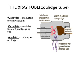X Rays Production Animation