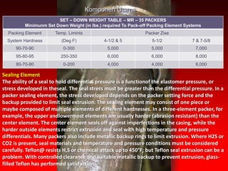 Production Packer | PPTX