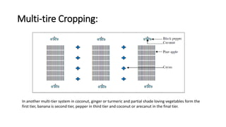 Production potential under monoculture and multiple cropping | PPTX