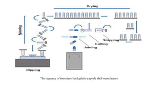 Production process of hard gelatin capsule | PPTX