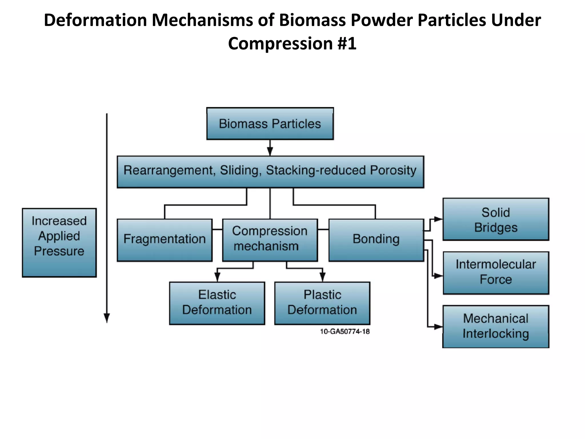 Production Process Wood Pellet From Wood Biomass | PDF