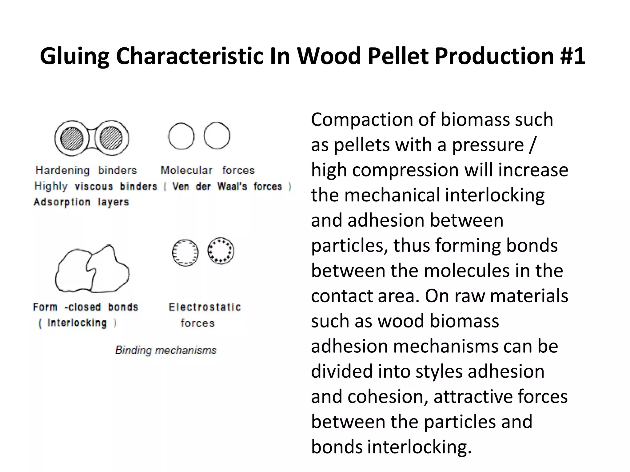 Production Process Wood Pellet From Wood Biomass | PDF