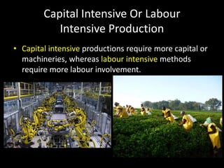 Production & Productivity.pptx