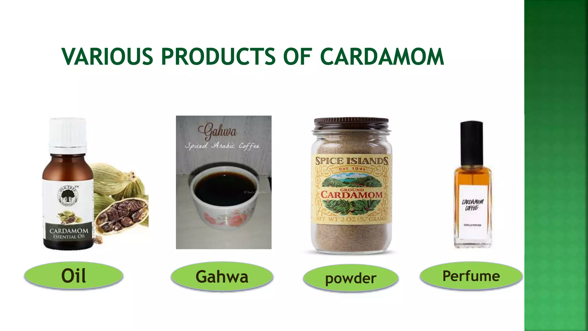 production profile of cardamom.pptx