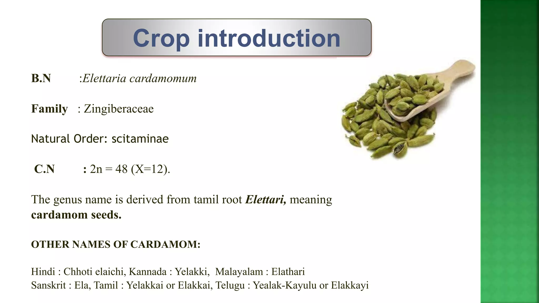 production profile of cardamom.pptx