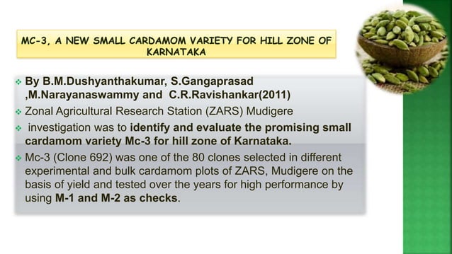 production profile of cardamom.pptx