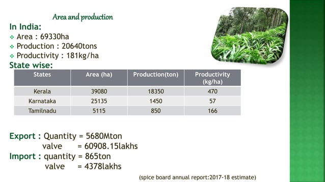 production profile of cardamom.pptx
