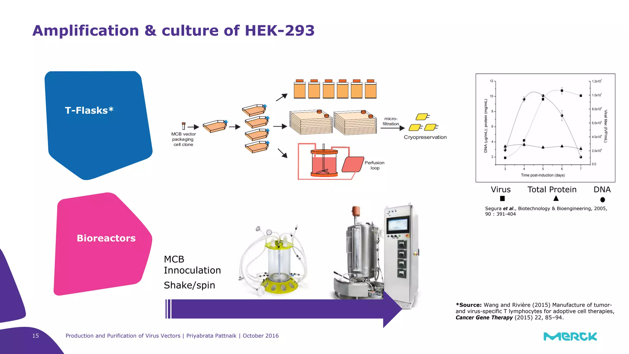 Production and purification of Viral vectors for gene and cell therapy ...