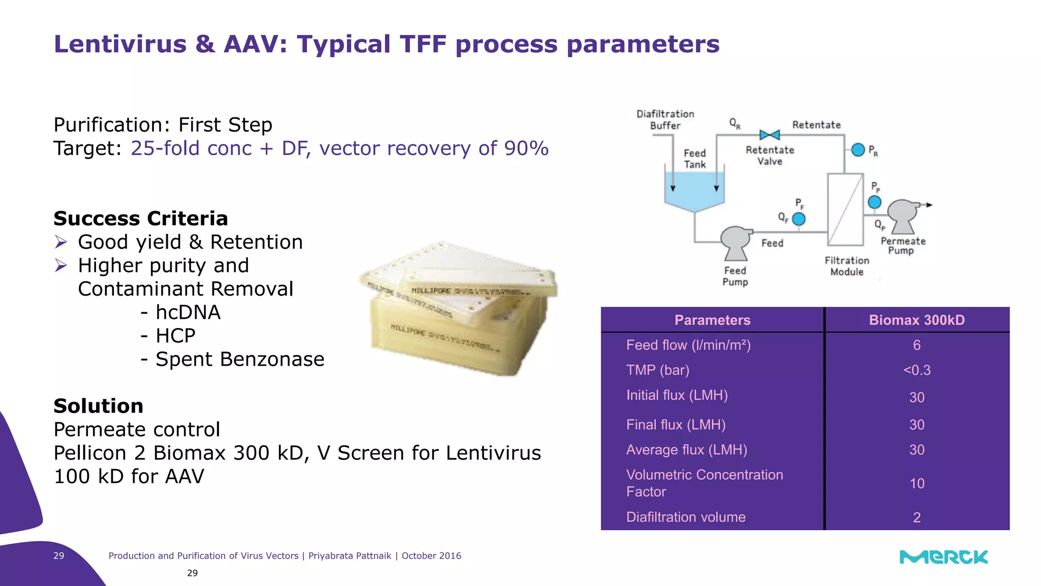 Production and purification of Viral vectors for gene and cell therapy ...