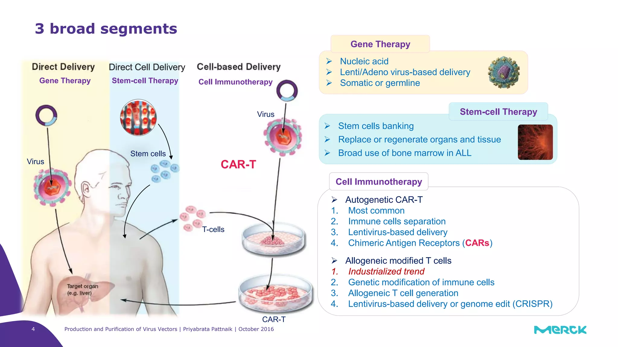 Production and purification of Viral vectors for gene and cell therapy ...