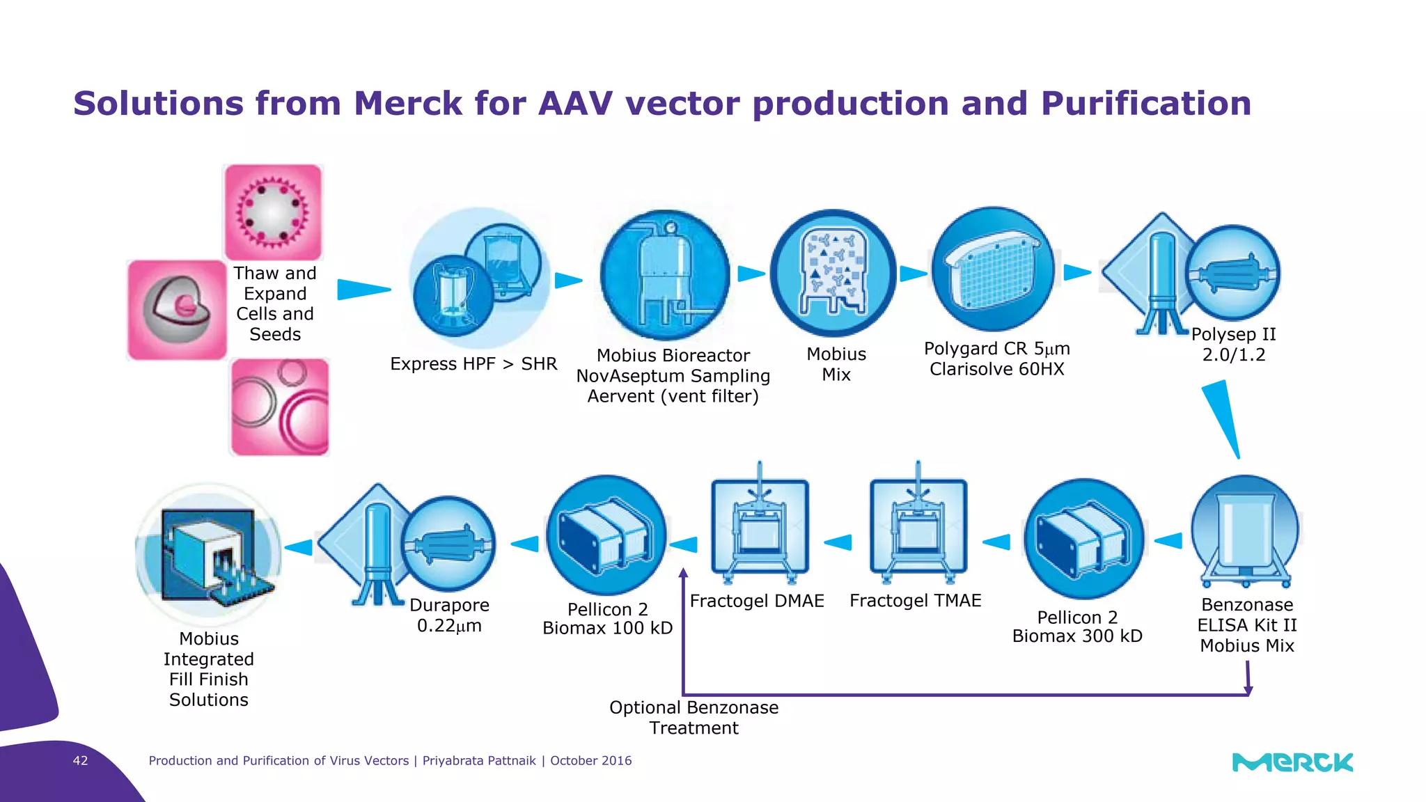 Production and purification of Viral vectors for gene and cell therapy ...