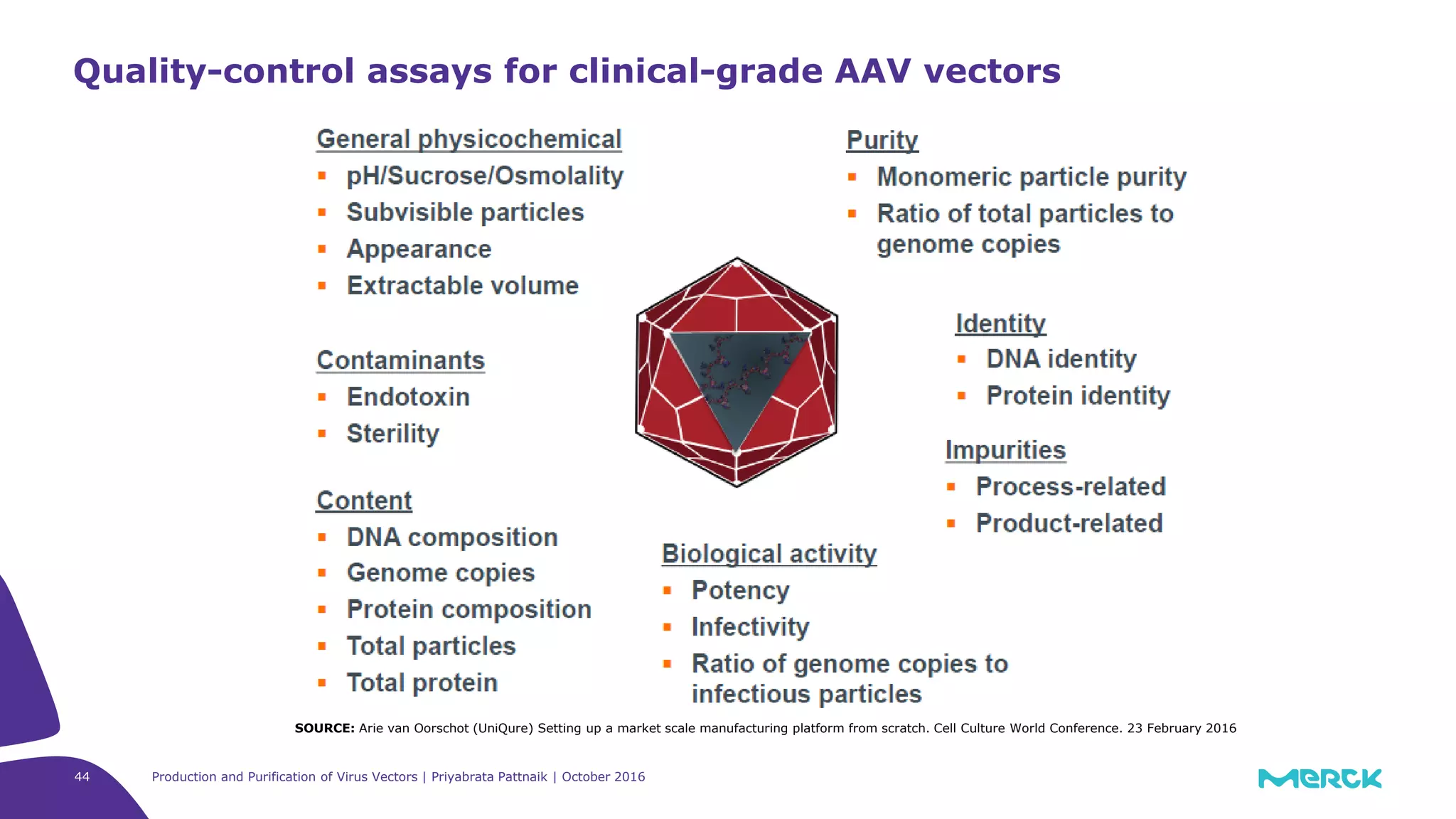 Production and purification of Viral vectors for gene and cell therapy ...