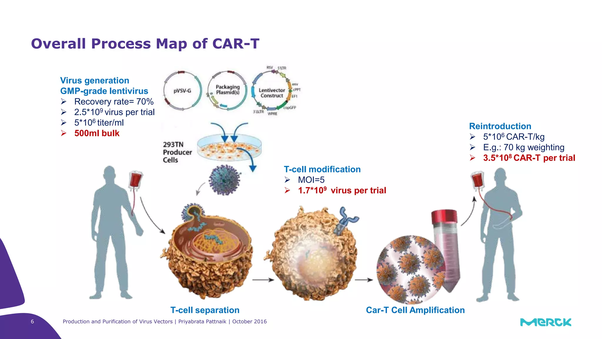 Production and purification of Viral vectors for gene and cell therapy ...