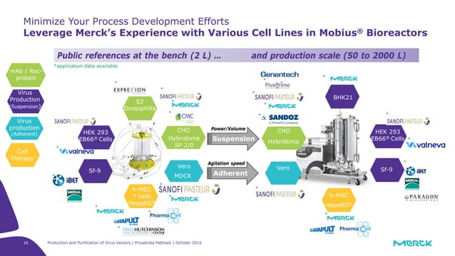 Production and purification of Viral vectors for gene and cell therapy ...