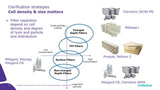 Production and purification of Viral vectors for gene and cell therapy ...