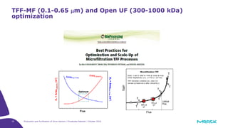 Production and purification of Viral vectors for gene and cell therapy ...