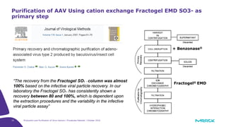 Production and purification of Viral vectors for gene and cell therapy ...